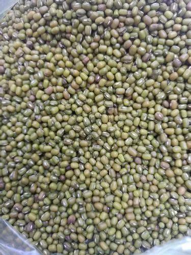 Green Moong Bean At Rs 90kilogram In Rewari Id 22499288955