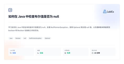 如何在 Java 中检查布尔值是否为 Null Labex