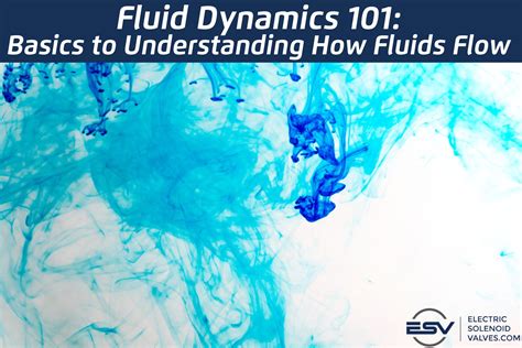 Fluid Dynamics 101 Basics To Understanding How Fluids Flow 小黄书