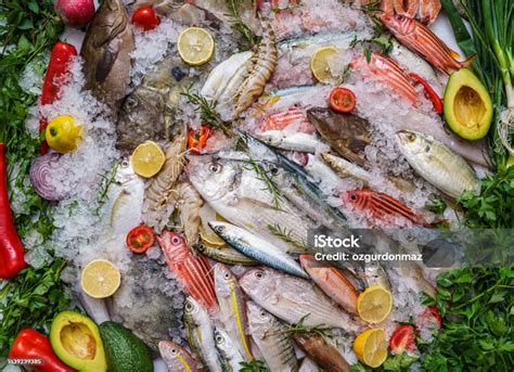 얼음 조각 레몬 조각 허브 및 야채로 장식 된 다양한 신선한 생선과 해산물의 높은 각도보기 냉동된에 대한 스톡 사진 및 기타 이미지 Istock