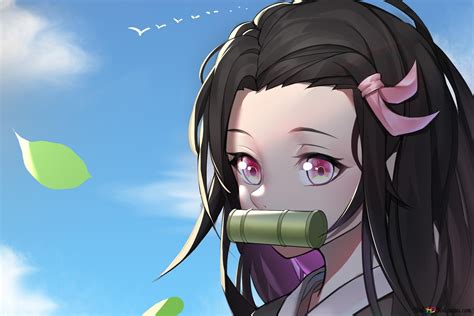 Незуко обои на телефон фото и картинки 66 штук