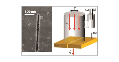 An Integrated Electrochromic Nanoplasmonic Optical Switch Nano Letters
