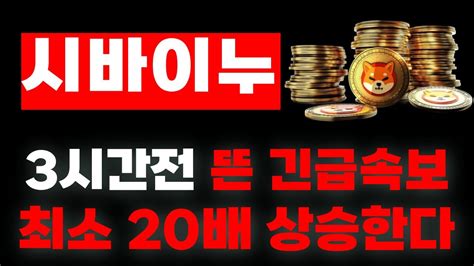 시바이누 코인 3시간전 뜬 긴급속보 최소 20배 상승합니다 시바이누코인 시바이누코인전망 시바이누호재 Youtube