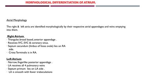 Segmental Analysis Of Cardiac Defects Ppt Pptx Heart And