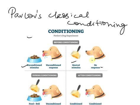 Solved I Have A Question About Pavlovs Classical Conditioning Can