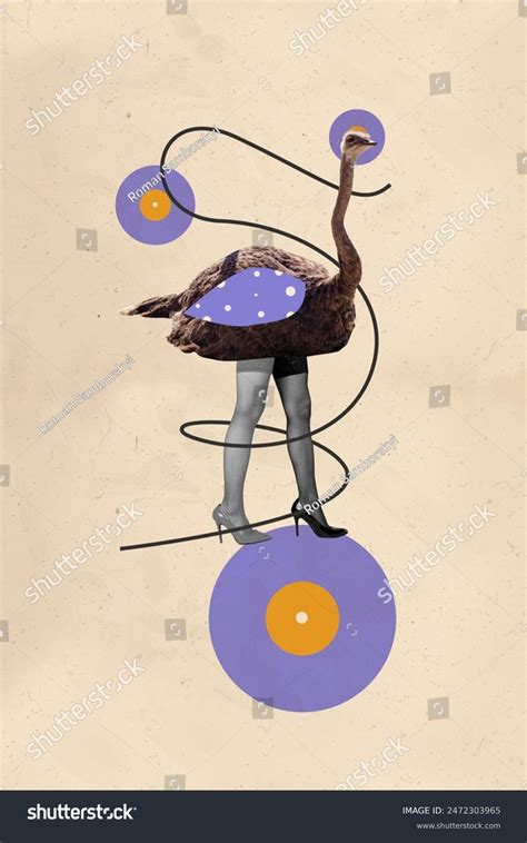 1284339 Sexy Beine Bilder Stockfotos 3d Objekte Und Vektorgrafiken