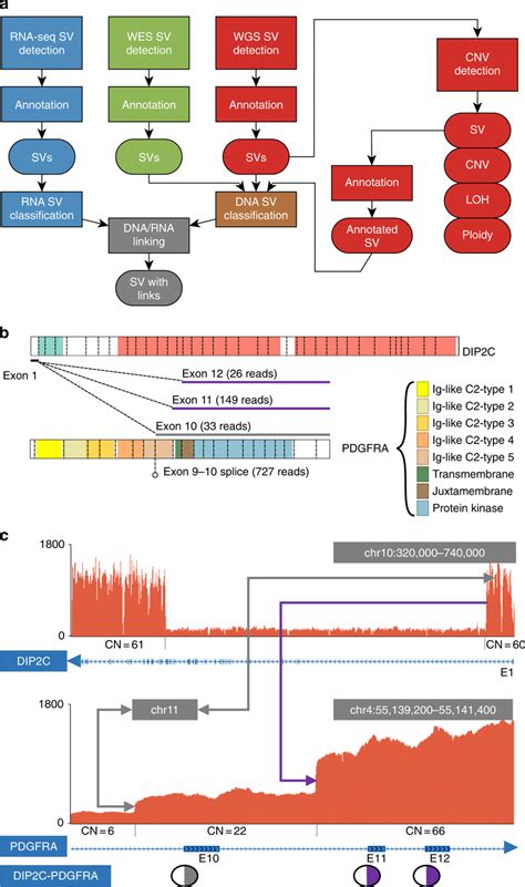 Integrative Analysis Of Structural Variation A Multi Platform Download Scientific Diagram