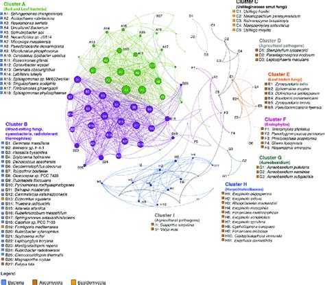 Co Occurrence Network Analysis Of Microorganisms On The Adaxial And