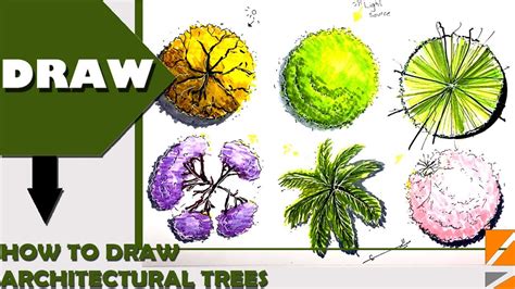 Tips For Drawing Trees In Architectural Drawings And Sketchs With Markers YouTube