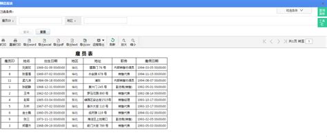 通用查询 简单sql 《有数bi用户手册》