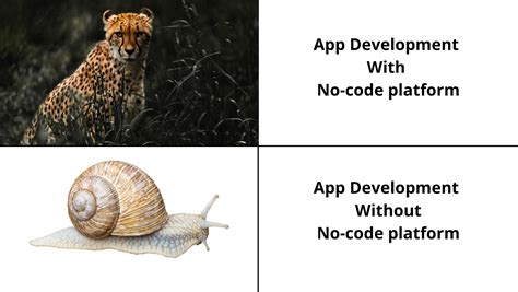 How To Build An App Without Coding Experience For Free