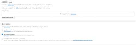 Cluster Kubernetes Multi Master în Oracle Cloud Free Tier Despre Linux