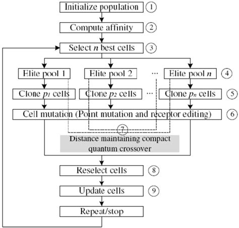 flowchart of the proposed algorithm download scientific diagram