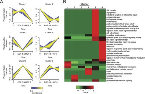 Clustering And Enrichment Analysis In Gprox A Unsupervised Clustering