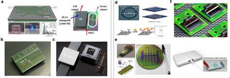 Silicon Photonic Sensors For Chemical And Biological Analysis