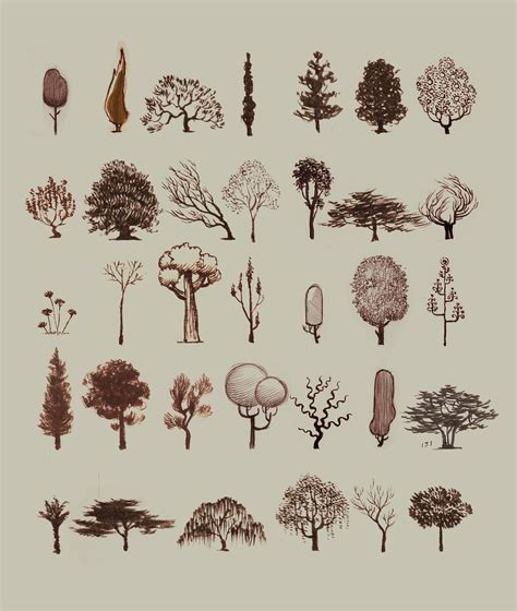 Tree Design 01 Behance