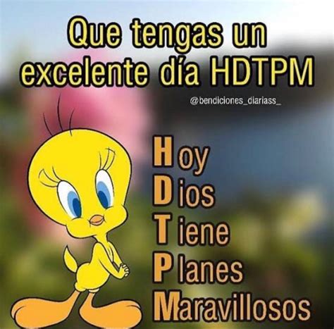 Piolin Groseo Buenos Feliz DÍa Piolin Imagenes Frases Piolín Buenas