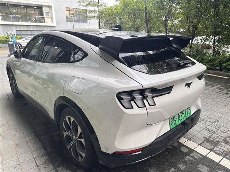 Now With Video New Wing Proudly Handcrafted By Bskt Design