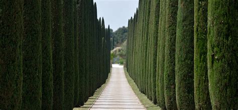 Testes E2e No Javascript Com — Apis By Felipe Limeira Training Center Medium