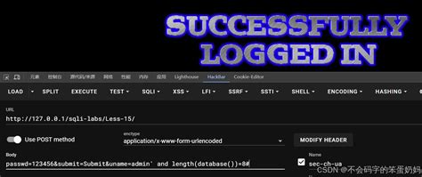 2025 sqli-labs通关流程 手把手教 详细讲解_sqlilabs-CSDN博客