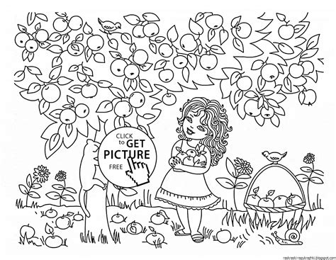 Раскраска фруктовый сад Большое количество фото