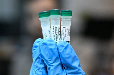 dna data storage ai method speeds up data retrieval by 3 200 times