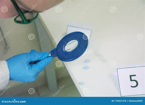 Forensic Technicians Taking Dna Sample From Blood Stain With Cotton