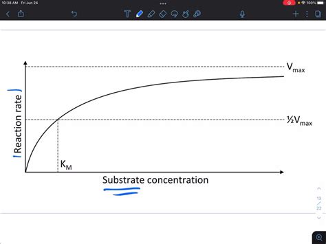 SOLVED Draw The Metabolic Pathways For Glucose Metabolism In A Muscle Cell When You Suddenly