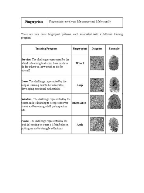 Fingerprints Training Program Fingerprint Diagram Example Pdf