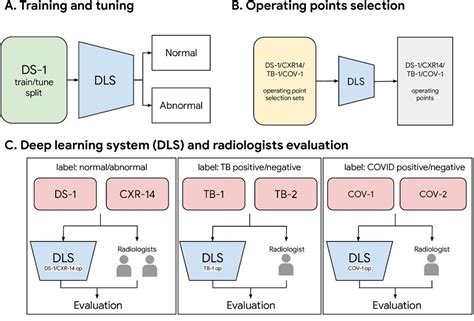 Google’s new deep learning system can give a boost to radiologists - TechTalks