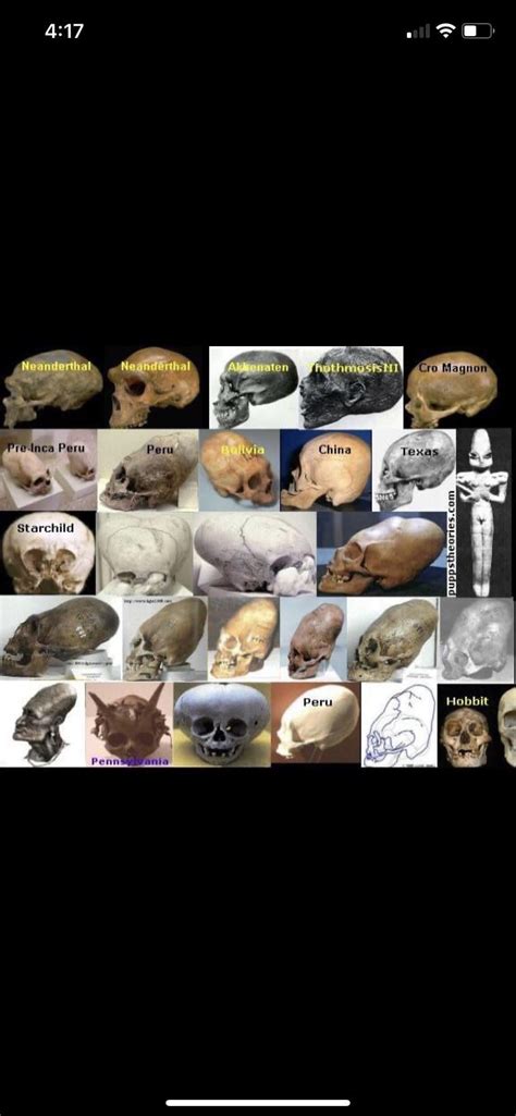 The Ancients Who Built Megalithic Structures Looked Like This R Alternativehistory