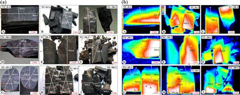 Cross Sections Extracted From The Fracture Surfaces Of Specimens With