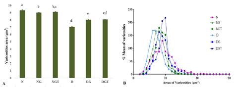 Penile Neuronal Nitric Oxide Synthase NNOS Varicosities In Rats From Download Scientific
