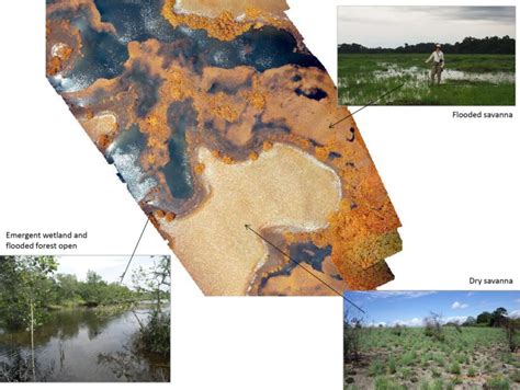 Better Mapping For Better Management Of Gabons Coastal Wetlands And Beyond Cool Green Science