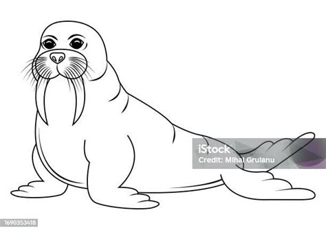 흑백 바다코끼리 만화 캐릭터 벡터 만화 해마의 색칠 공부 페이지 겨울에 대한 스톡 벡터 아트 및 기타 이미지 겨울 교육