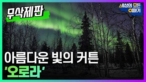 [무삭제판] 세상의 모든 이야기 세모이 ㅣ세모이 [60회] Ytn2 Youtube