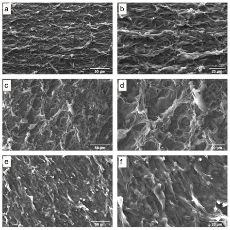 Optimization Of Phenolic Content Extraction And Effects Of Drying Treatments On Physicochemical