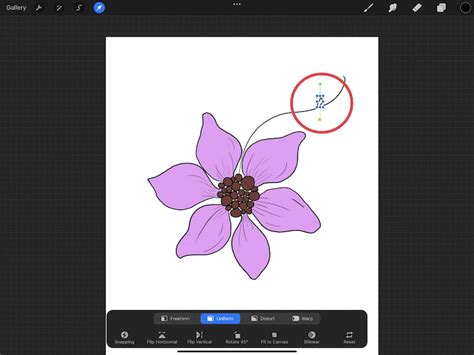 Problems Moving A Selection In Procreate 5 Tips To Try Adventures
