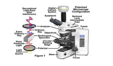 Teknologi Farmaseutikal I Tf 1 Lab Report On Polarized Microscope