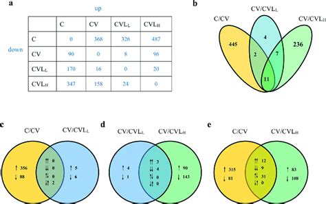 Global Overview Of The RNA Seq Data Of Influenza A Virus Infected Lung Download Scientific