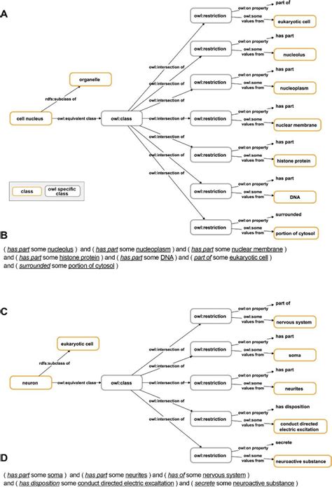 Logical And Machine Actionable Formal Definitions Using Owl Graph