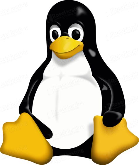 free let s encrypt ssl certificate alternatives rosehosting