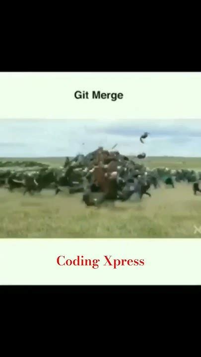 Git Merge Codingxpress Devloper Git Softwareengineering