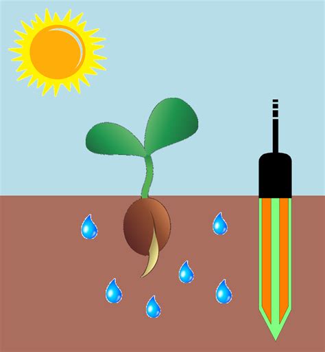 Sensors The Whole World Of Electronics And Gardening
