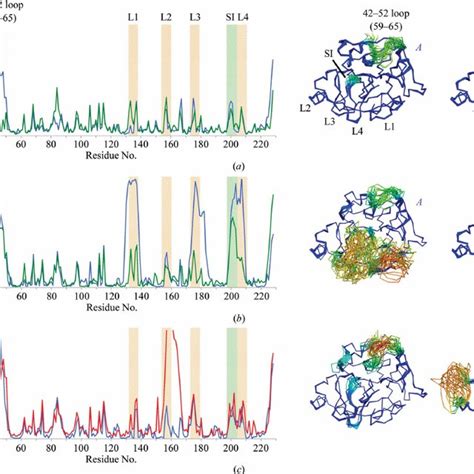 Pdf Ensemble Refinement Shows Conformational Flexibility In Crystal Structures Of Human