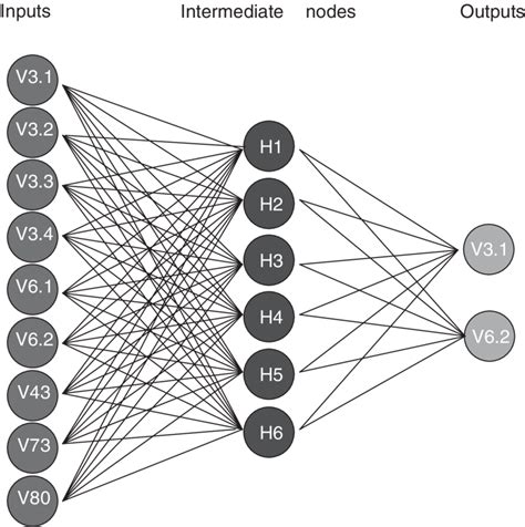 Diagram Of The Neural Network Model Download Scientific Diagram