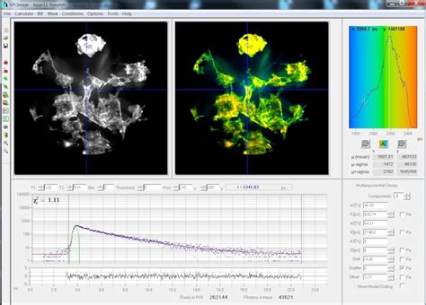 Wide Field Tcspc Flim With Bh Spc 150n Tcspc System And Photek Fgn 392 1000 Detector Becker