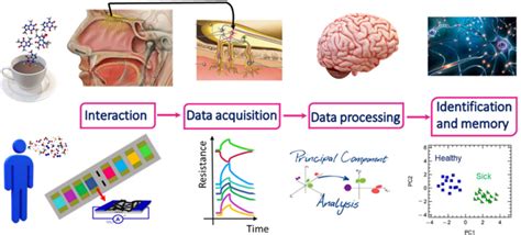 Figure 1 From Trends In The Development Of Electronic Noses Based On