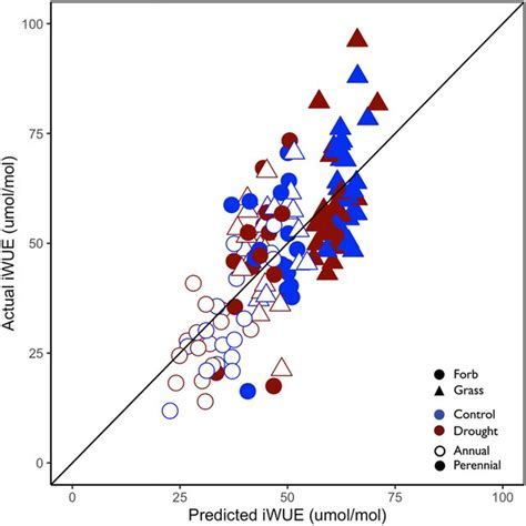 linear correlation plot of mean intrinsic water‐use efficiency with