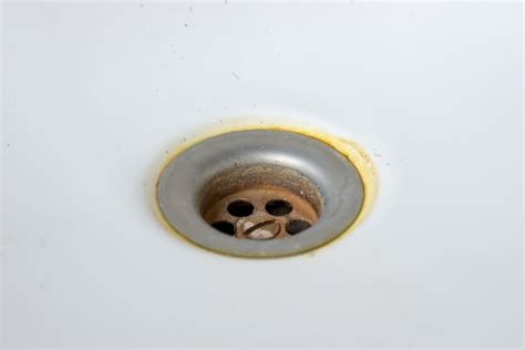 How Did I Get Rust Stains In My Sink Punctual Plumber Dallas